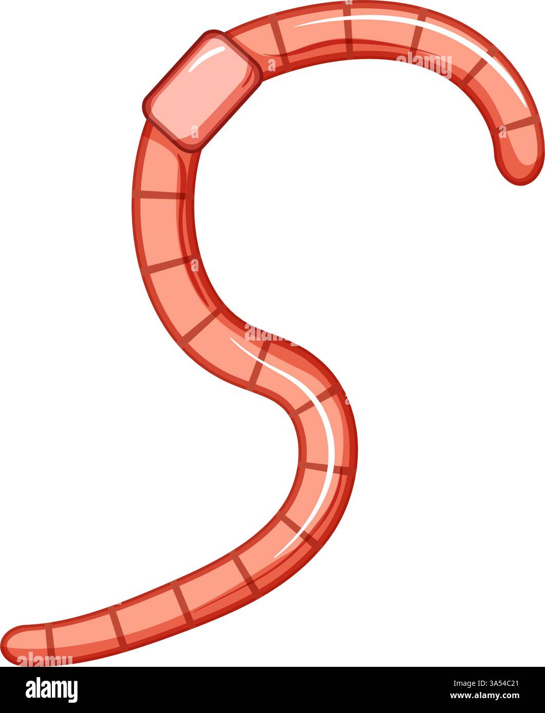 detritivore worm cartoon vector illustration Stock Vector Image & Art ...