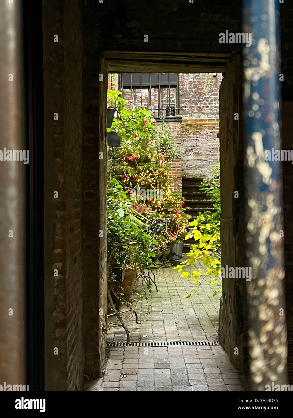 Charming narrow passageway leading to an ancient house adorned with ...