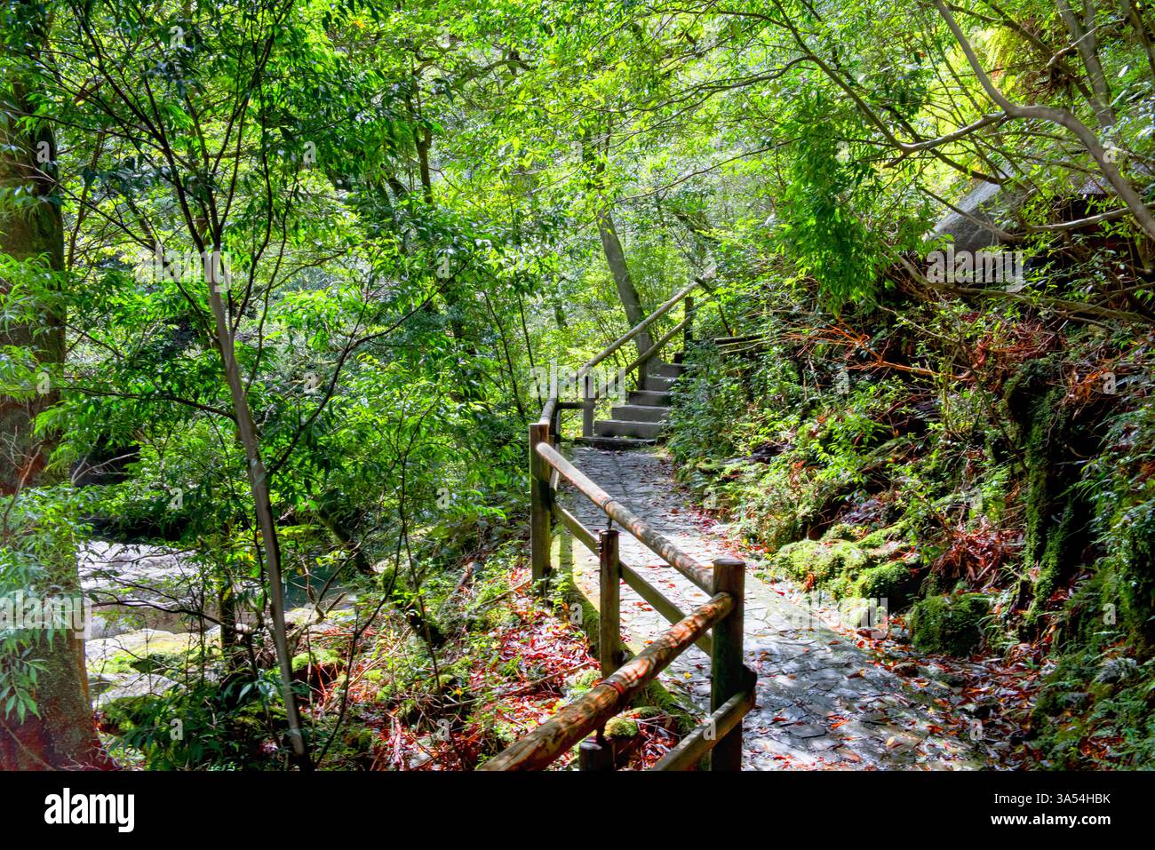 Walking path alongside the Shiratani River in the Shiratani Unsuikyo ...