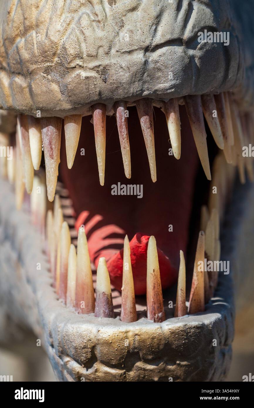 In the Mouth of the Prehistoric Creature – T. Rex Teeth model .Close up ...