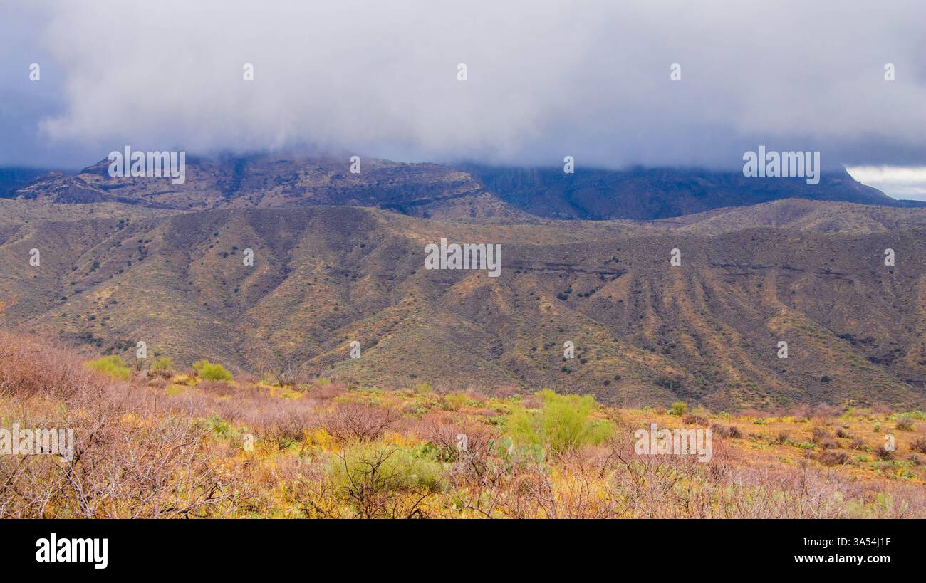 Arizona's Galiuro's Mountains with cloudy winter skies in the Sonoran ...
