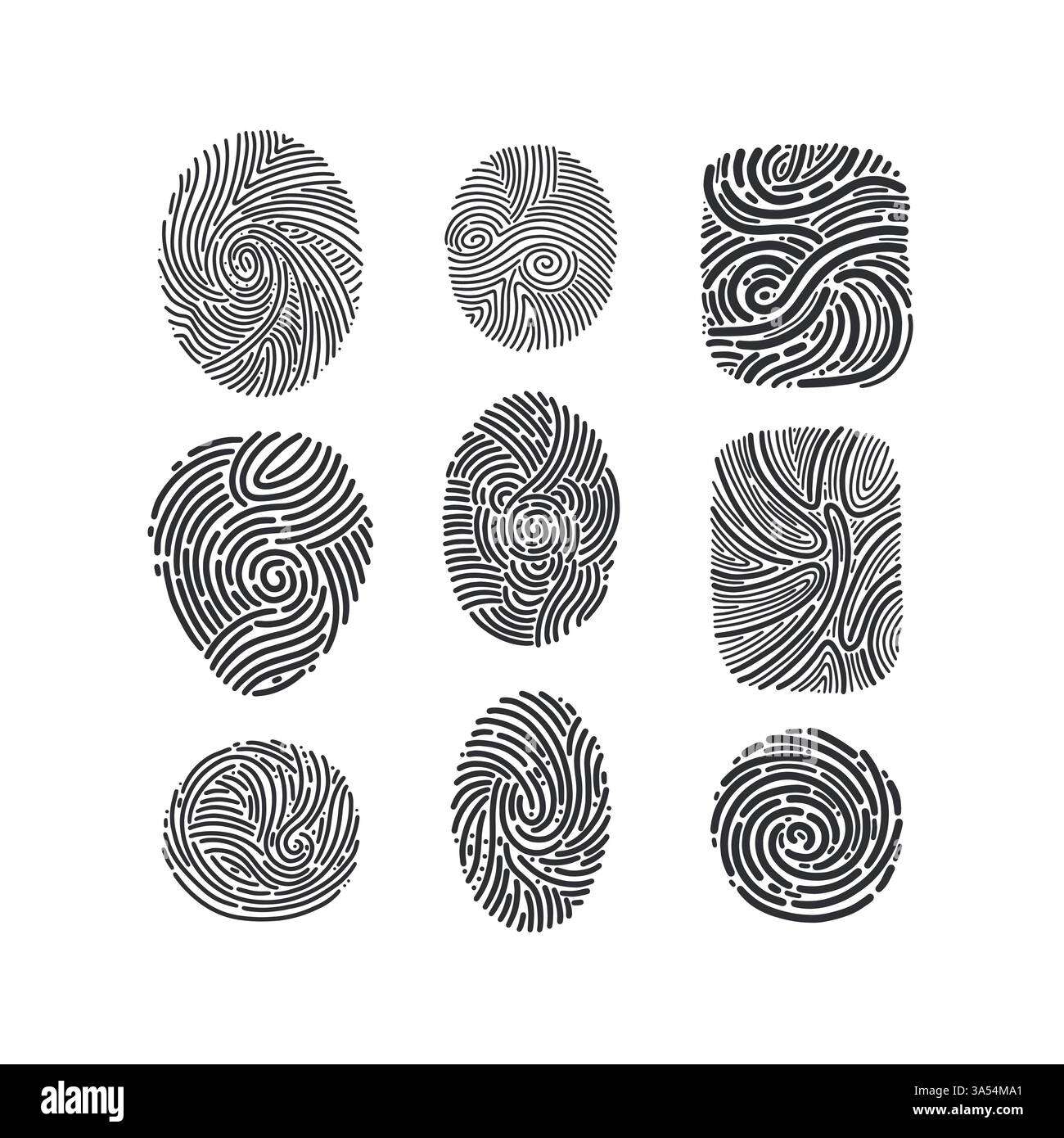 Fingerprint identification. Vector drawn set. Abstract biometric human unique thumb lines ...
