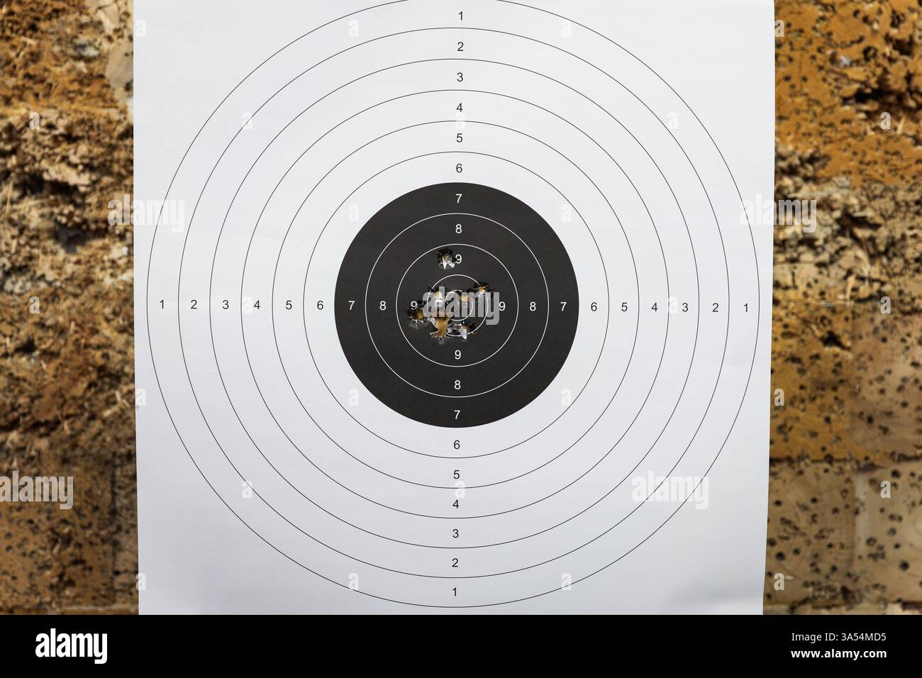 Shooting with a .45 Caliber Pistol at a Target: Capturing Precision and ...