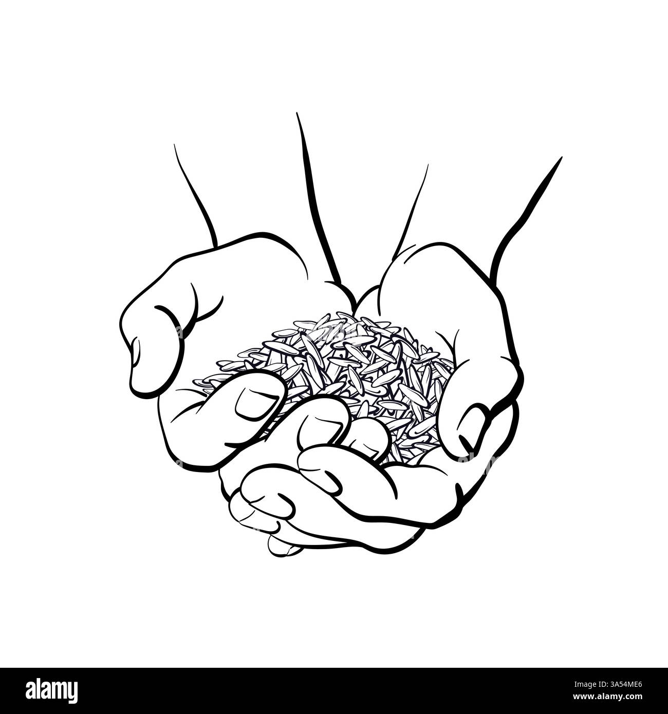 Rice grain in hands. Top view. Vector silhouette of seed. Graphic ...