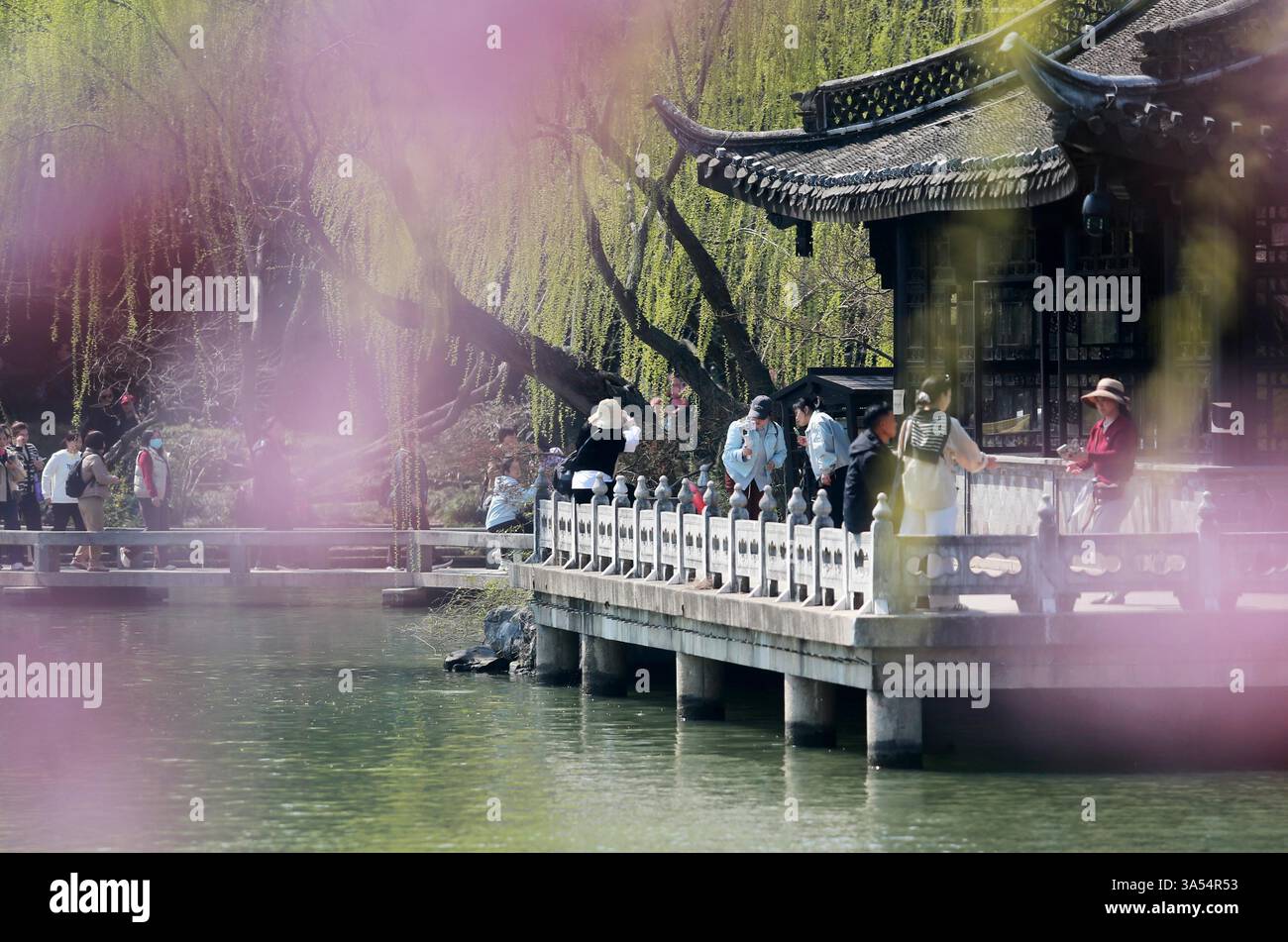 Aerial photo shows the spring scenery of the Slender West Lake scenic ...