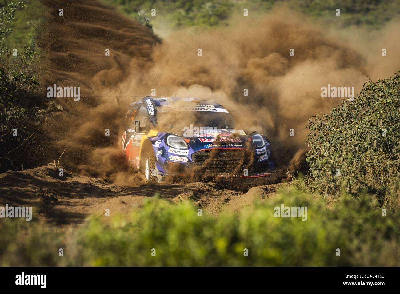 55 Joshua MCERLEAN, Eoin TREACY, Ford Puma Rally1, action during the 2025 Safari Rally Kenya ...