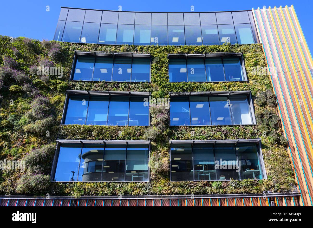 London, UK. Living Wall / Vetical Garden on the facade of Elephant ...