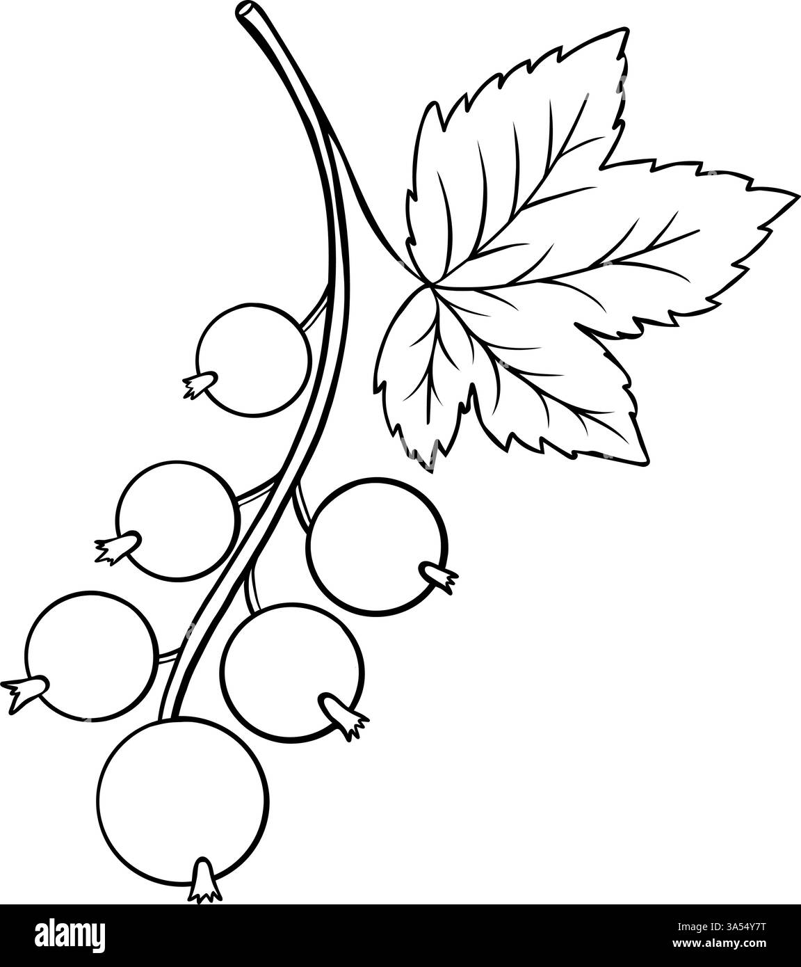 Branch of currant berries. Outline Seasonal berry. Line drawing ...