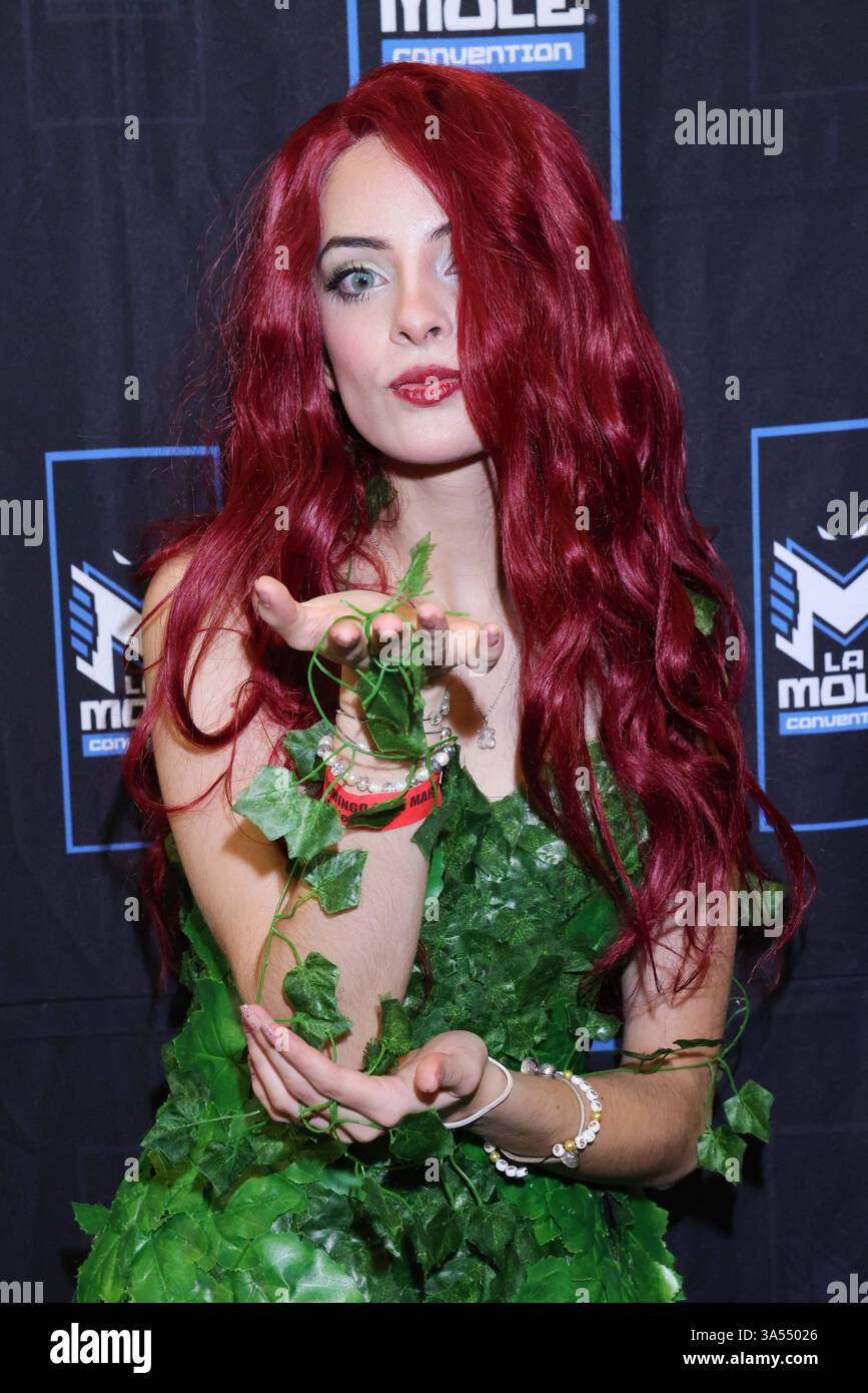 La Mole Convention 2025 - Day 3 The cosplayer Morthumi poses for photos ...