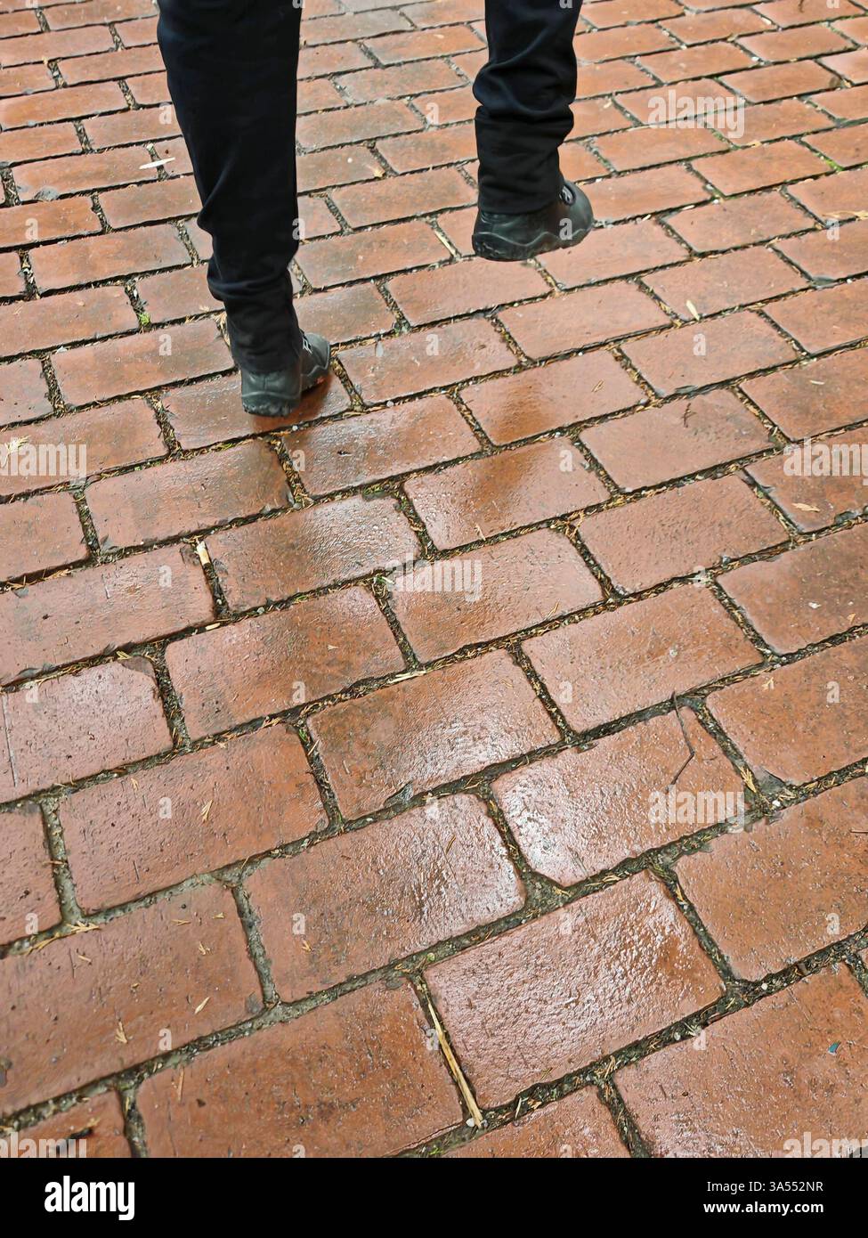 bricks as a popular building material in the construction industry ...