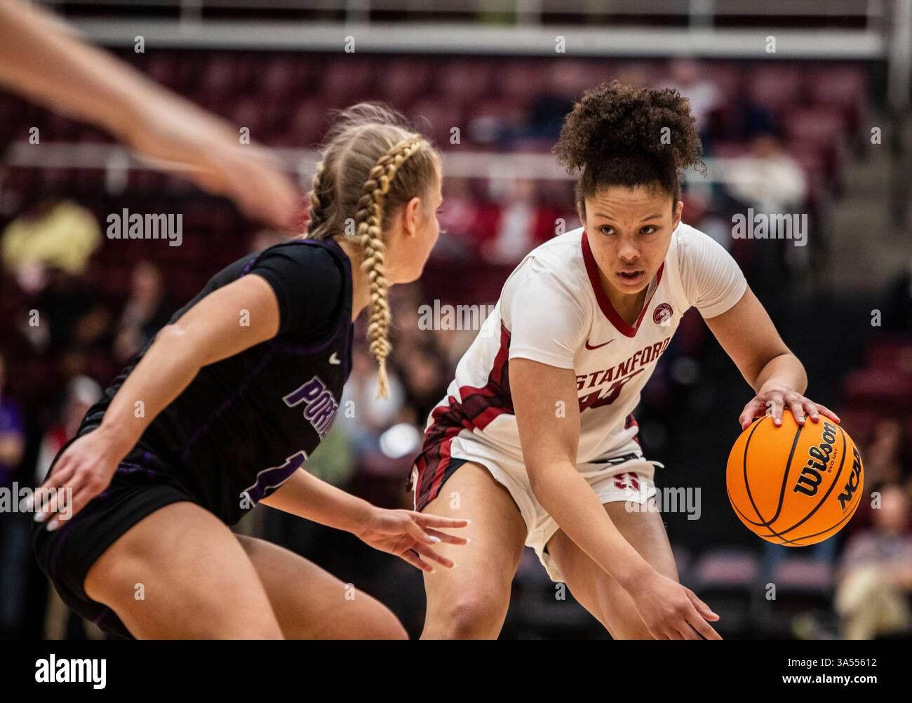 2025 1107 jpg hi-res stock photography and images - Alamy