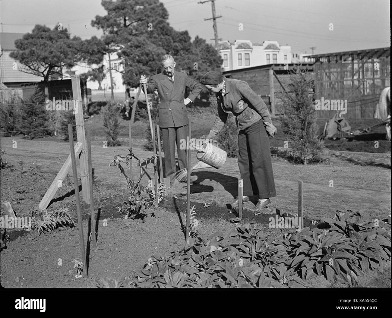 Victory gardens, also called war gardens or food gardens for defense ...