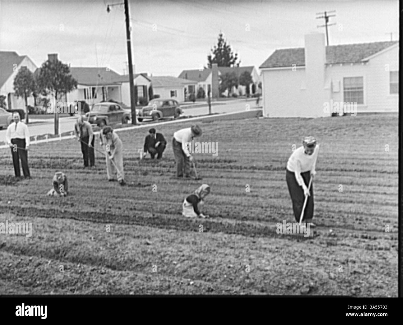 Victory gardens, also called war gardens or food gardens for defense ...