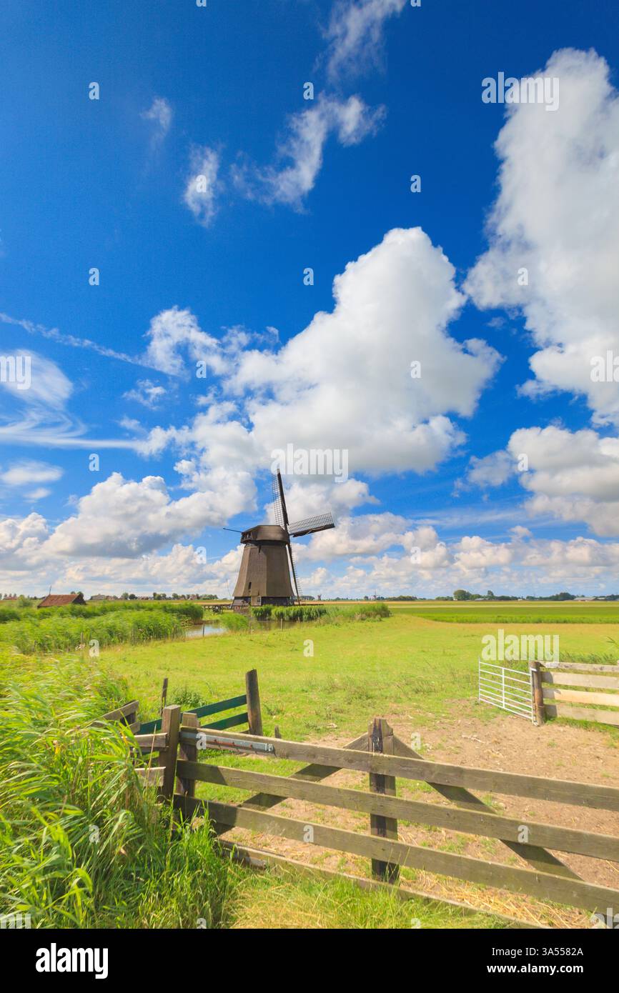 Dutch windmill Holland in a fresh green field in summer with bright and ...