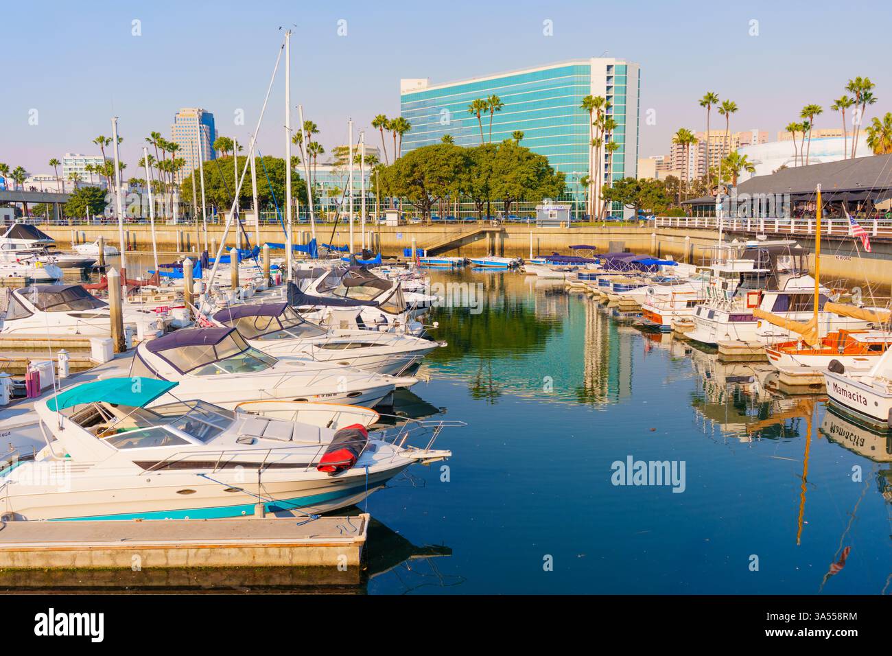 Long Beach, California - January 11, 2025: Picturesque marina scene ...