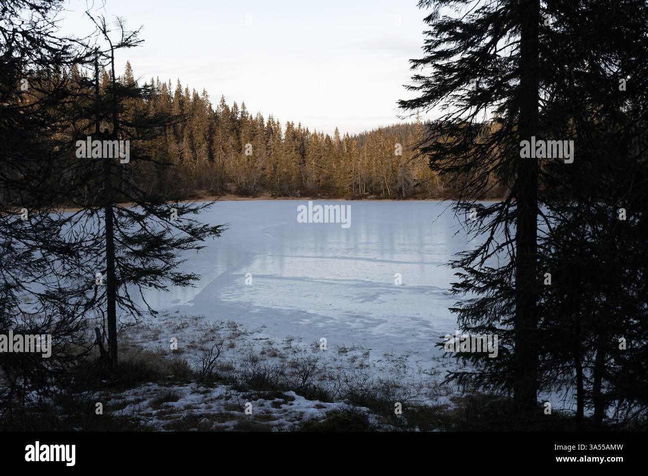 By a frozen lake up in the Totenåsen Hills, Norway Stock Photo - Alamy