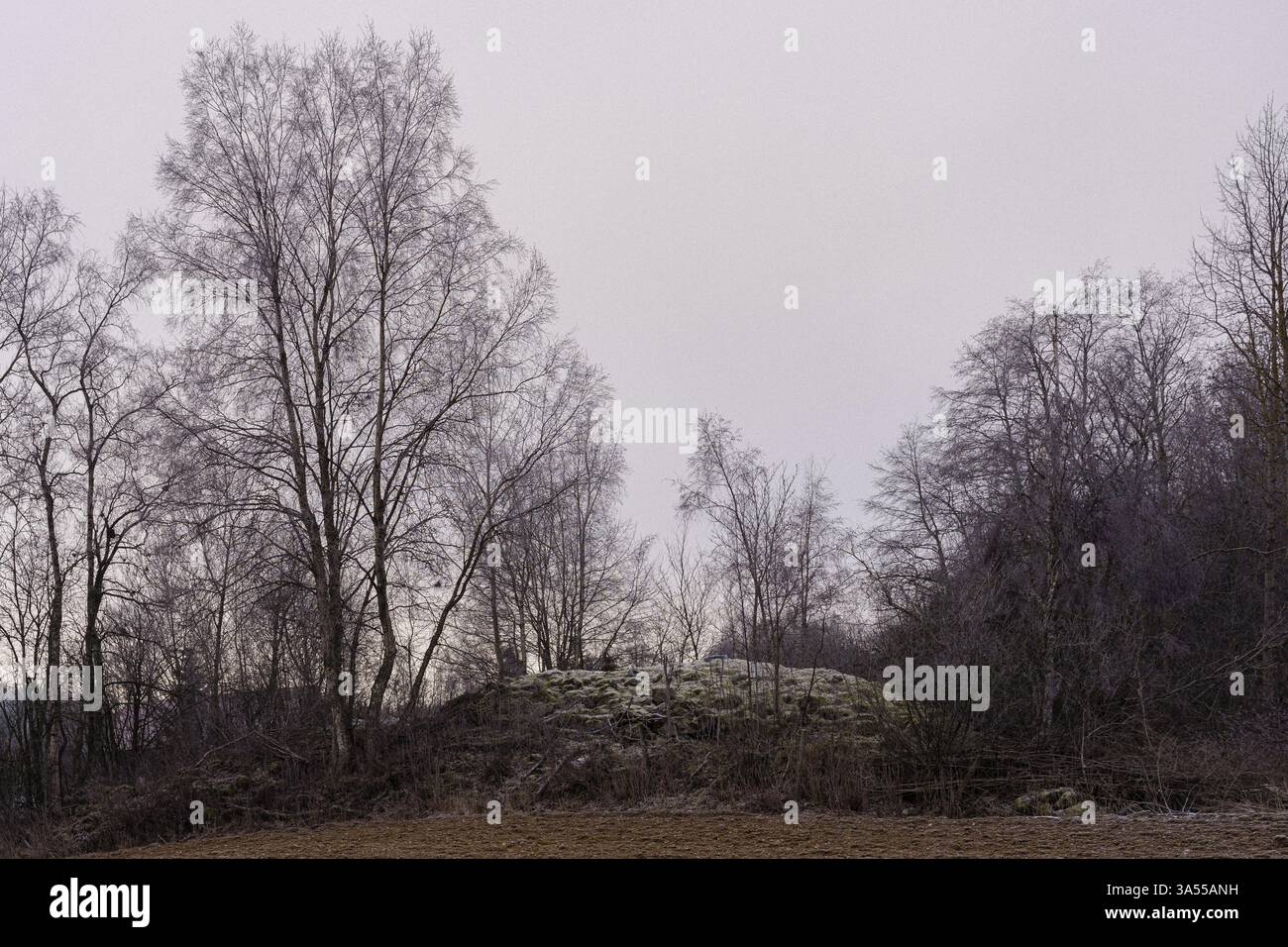 Byvegen hi-res stock photography and images - Alamy