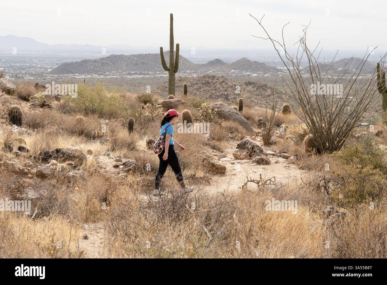 Middle-Aged Woman Hiking Tonto National Forest, Phoenix, Arizona Stock ...