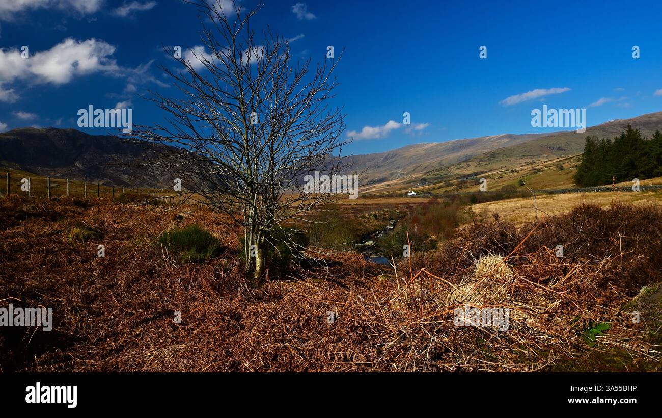 The Ogwen valley in the Eryri National Park looking North West to The ...