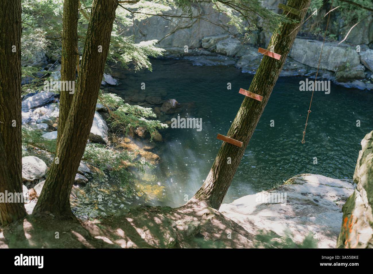 Rope Swing Over a Hidden Swimming Hole Stock Photo - Alamy