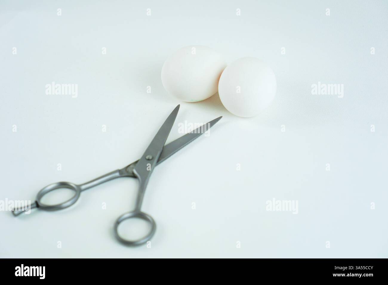A symbolic representation of a castration concept featuring scissors ...