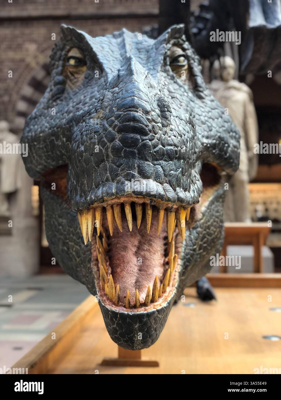 A close view of T-Rex head sculpture Stock Photo - Alamy