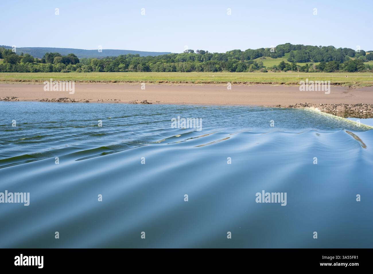 3rd June 2023, the tidal bore flows past the village of Glencaple ...