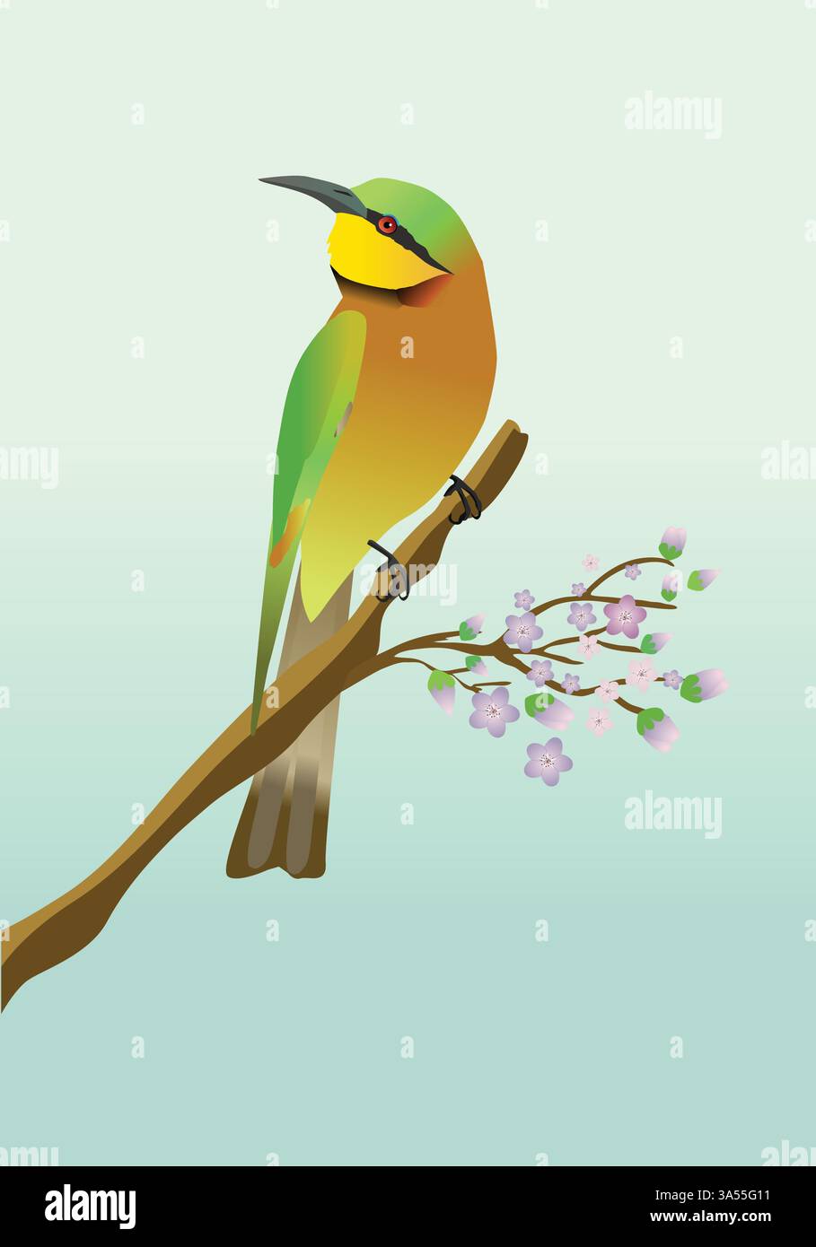 Little bee eater bird Stock Vector Images - Alamy