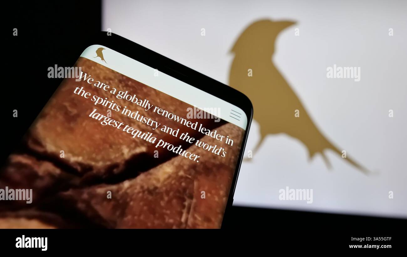 In this photo illustration, a smartphone with the website of Mexican ...