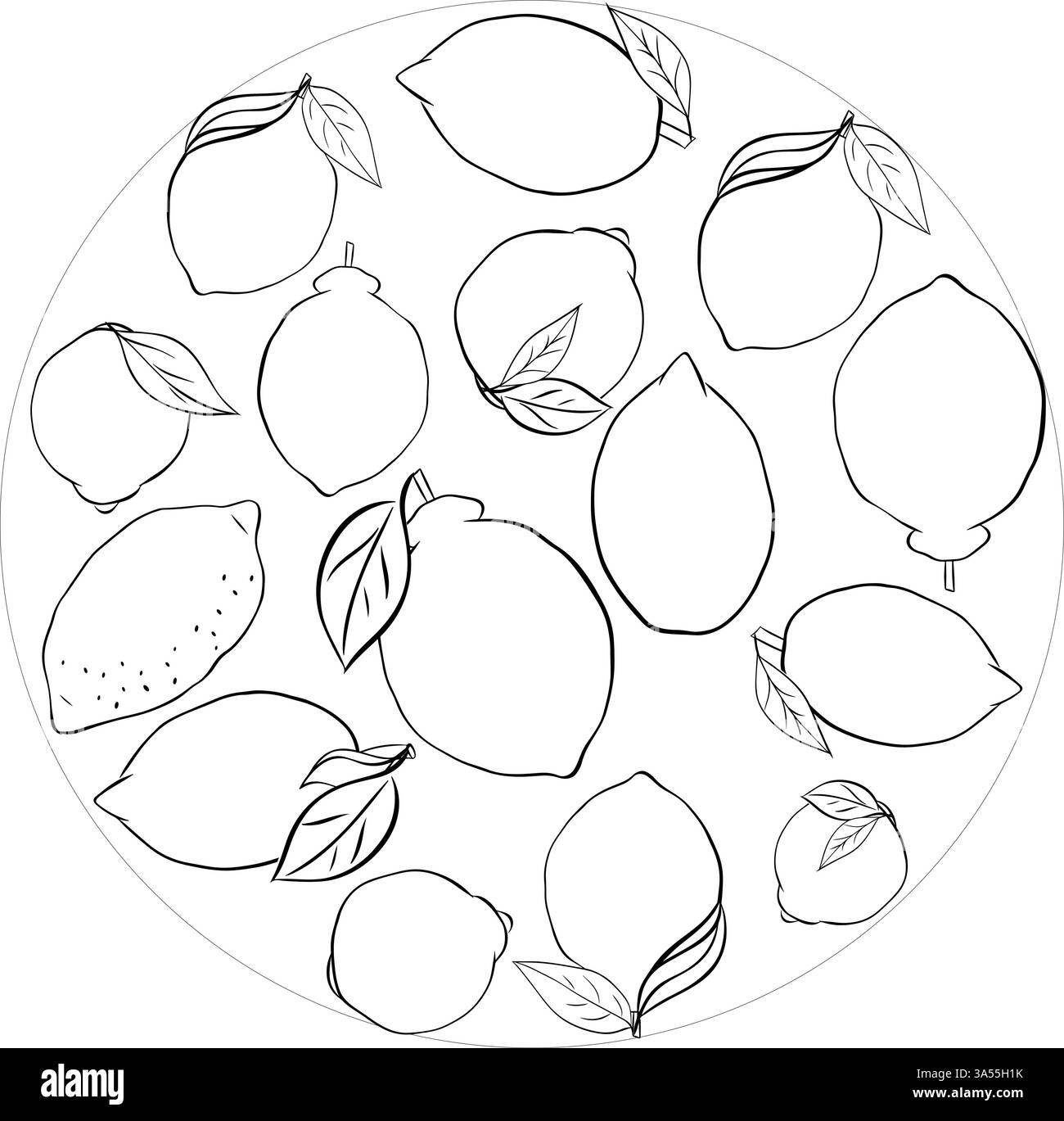 Lemons with leaves circle round composition. Vector Graphic line ink ...