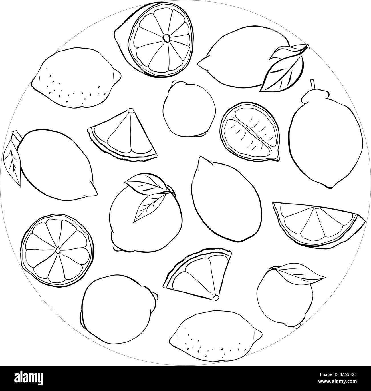 Lemon slice on black Stock Vector Images - Alamy