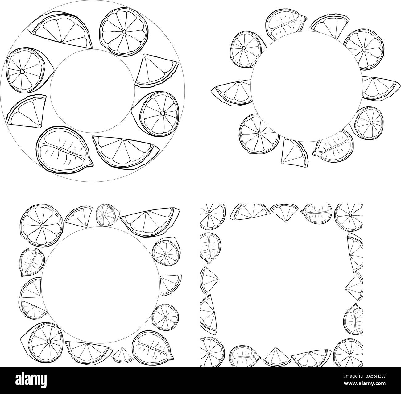 Lemon slice circle round frame set vector drawing. Citrus fruit circle and square label template ...