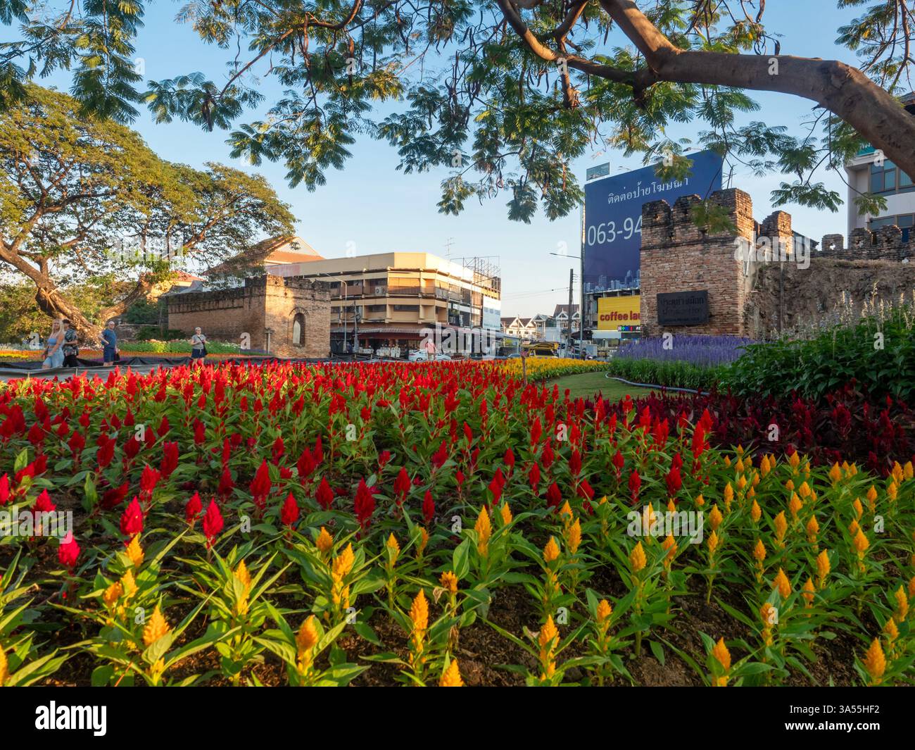 CHIANG-MAI, THAILAND - JANUARY 23, 2025 : SUAN DOK Gate is decorated ...