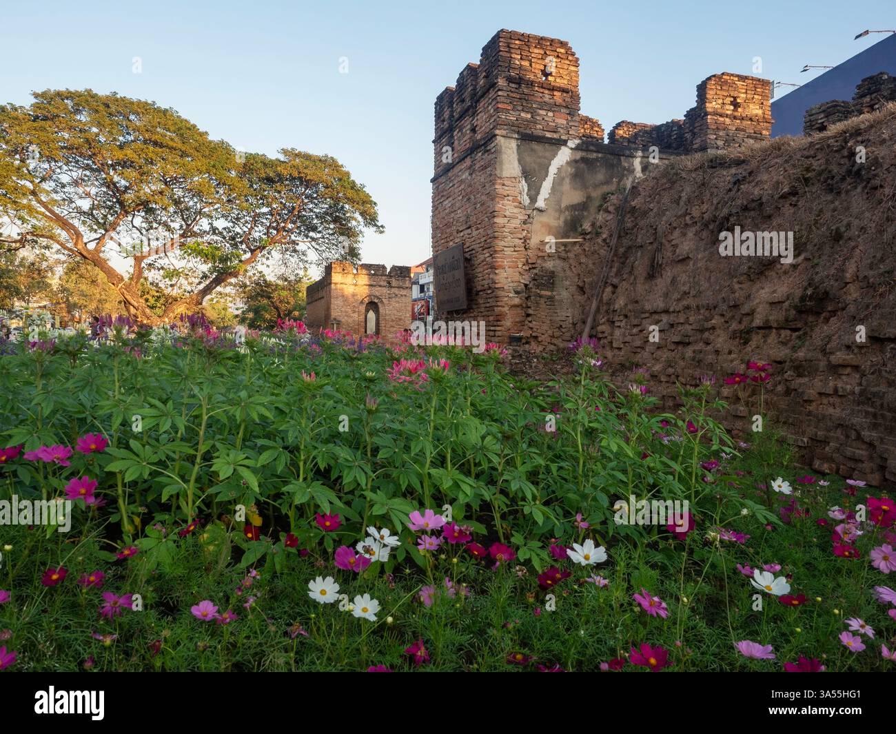 CHIANG-MAI, THAILAND - JANUARY 23, 2025 : SUAN DOK Gate is decorated ...