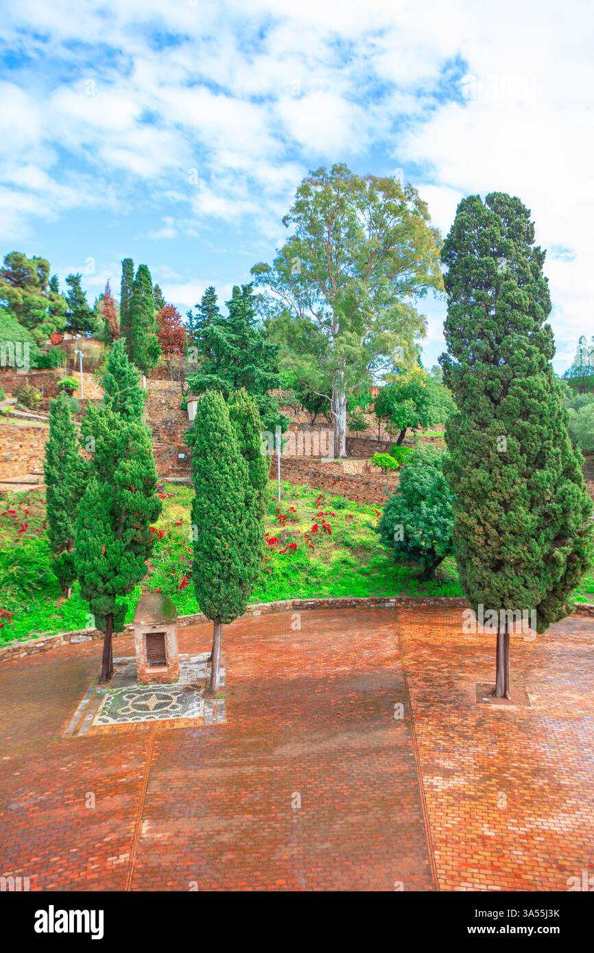 Tranquil outdoor scene, featuring lush green trees towering over a ...