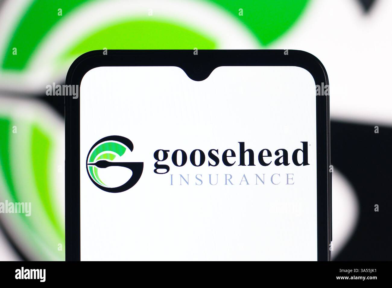 In this photo illustration, the Goosehead Insurance logo is seen ...
