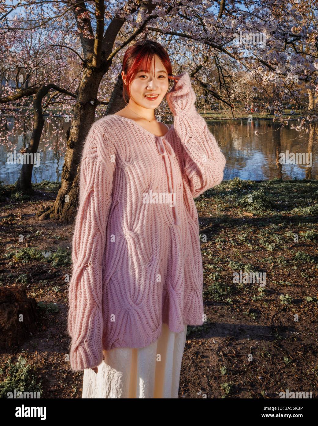 A happy tourist enjoys a moment under a blossoming cherry blossom tree as spring begins in ...