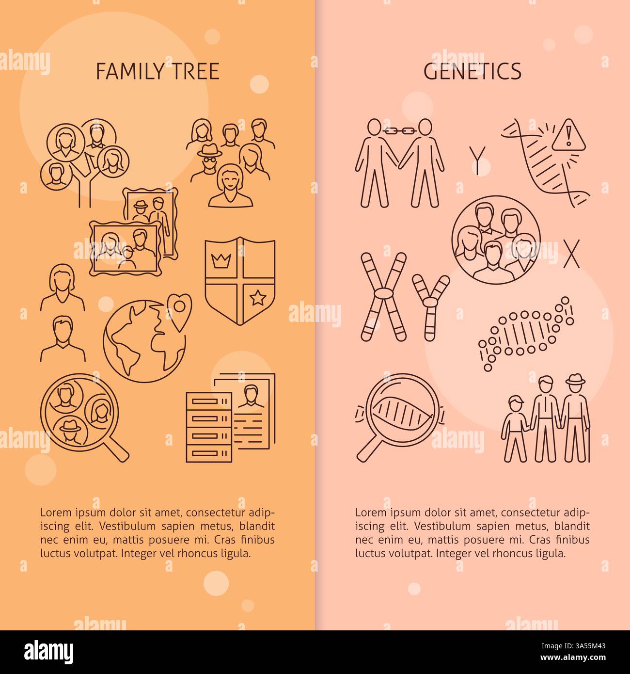 Family tree and genetics banner template with place for text. Vector ...