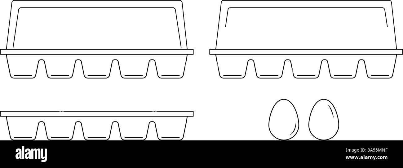 Set of chicken eggs and egg trays. Outline style. Vector illustration with transparent ...