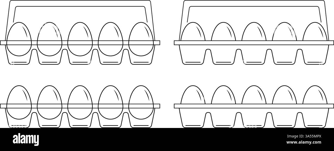 Chicken eggs in egg trays. Outline style. Vector illustration with transparent background Stock ...