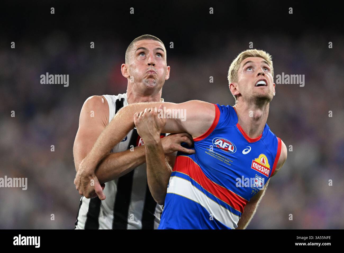 Darcy Cameron of Collingwood (left) and Tim English of Western Bulldogs ...