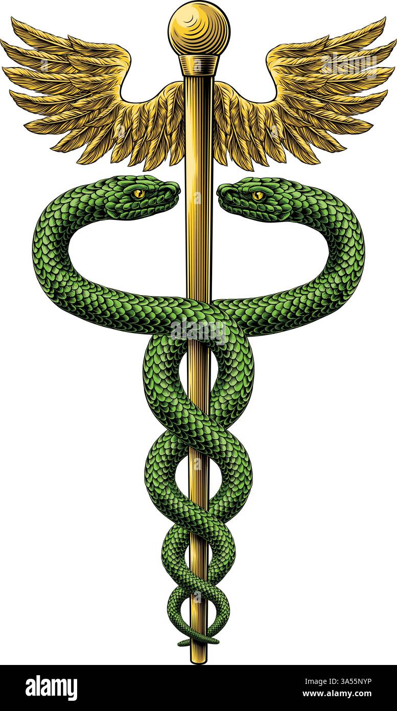 Caduceus Medical Asclepius Rod Doctor Symbol Icon Stock Vector Image ...