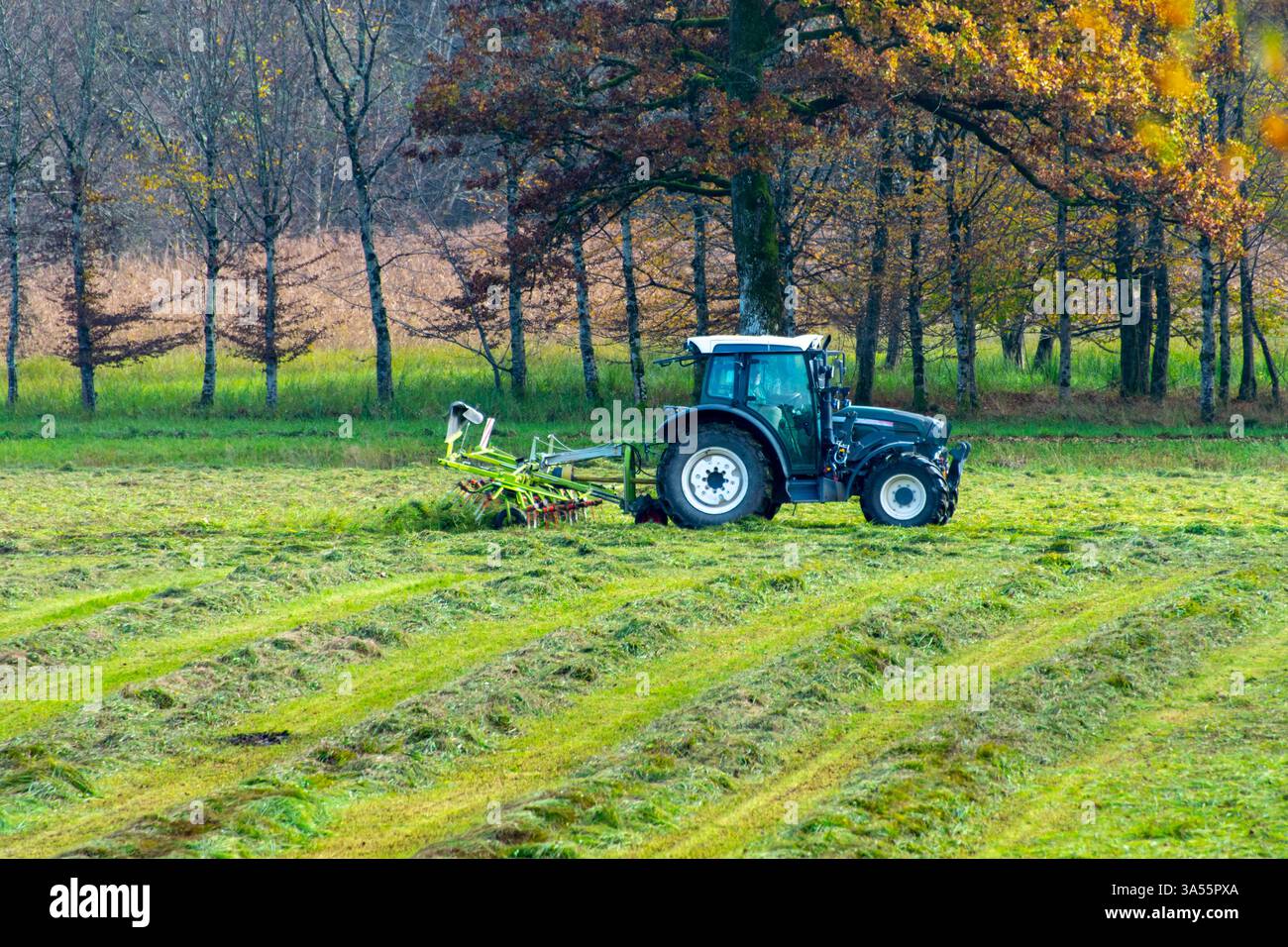 Equipment hay tedder tractor hi-res stock photography and images - Alamy