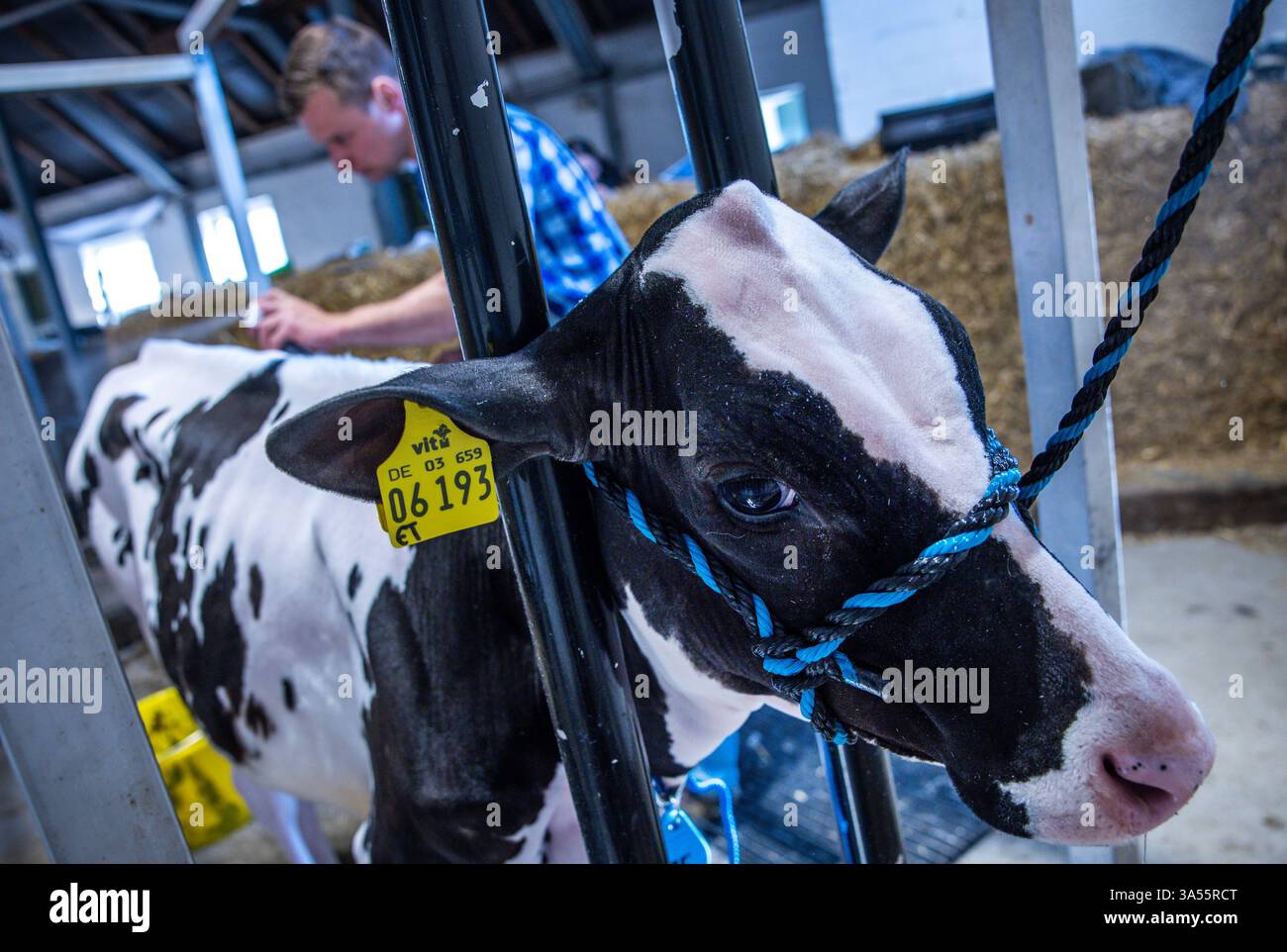 21 March 2025, Mecklenburg-Western Pomerania, Karow: The farmer and ...