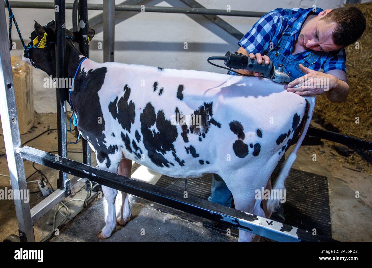 21 March 2025, Mecklenburg-Western Pomerania, Karow: The farmer and ...