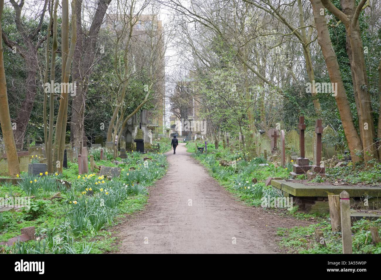 Solitary person walking down a path between gravestones in Tower ...