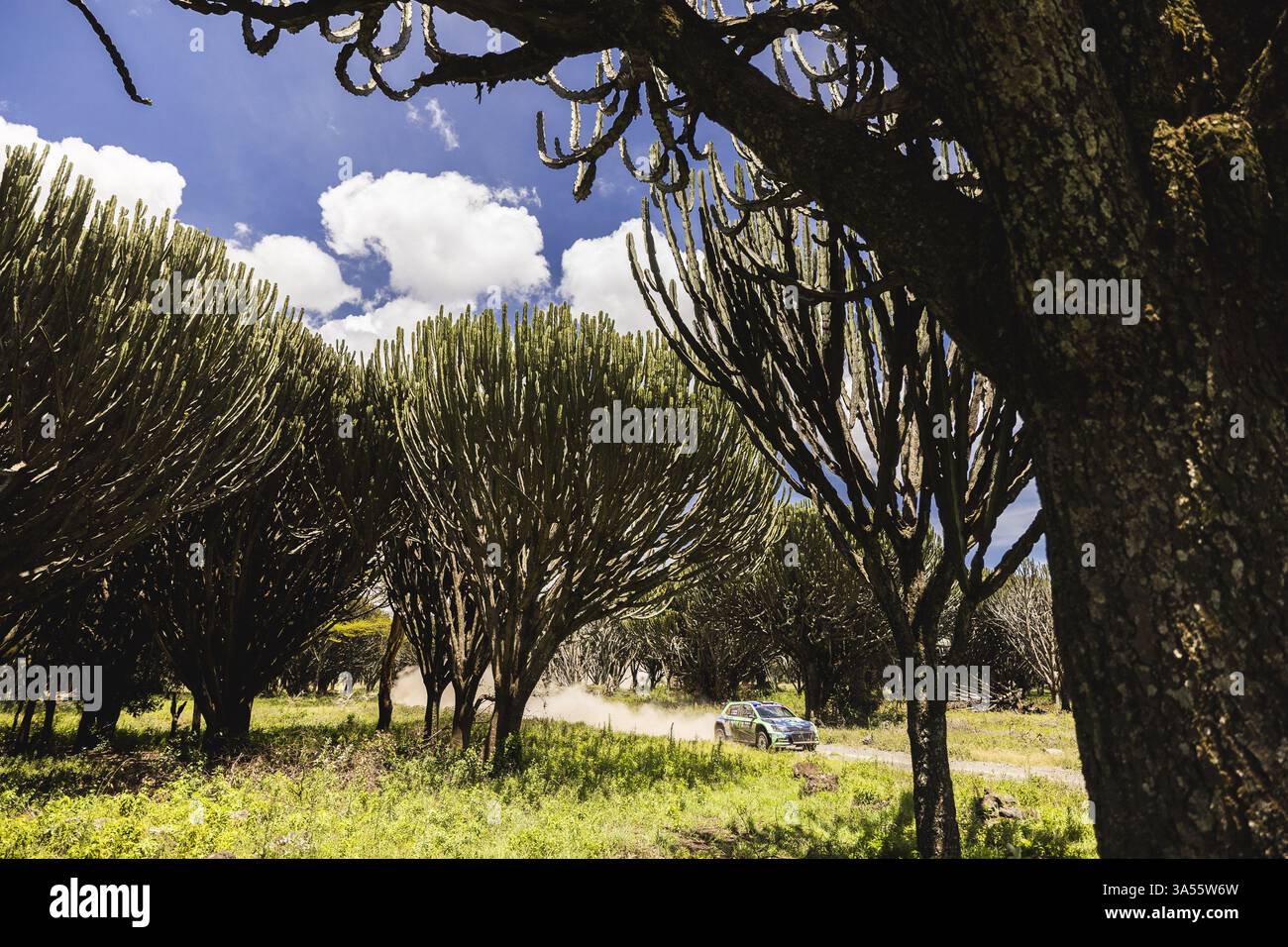 26 Karan PATEL, Tauseef KHAN, Skoda Fabia Rally2, action during the ...