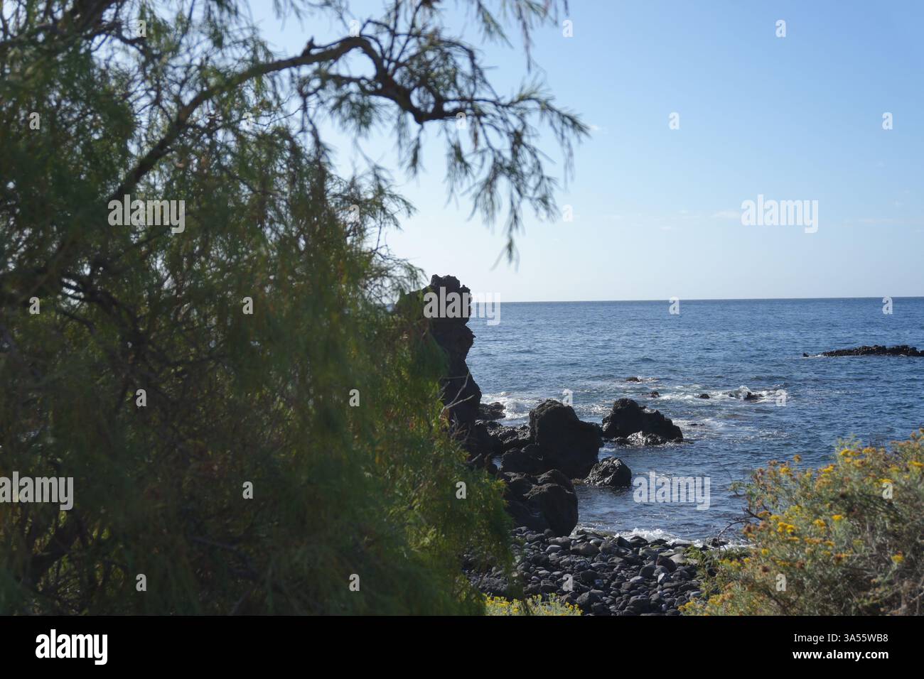 Volcanic shoreline of Tenerife with ocean waves, lava rocks, and lush ...