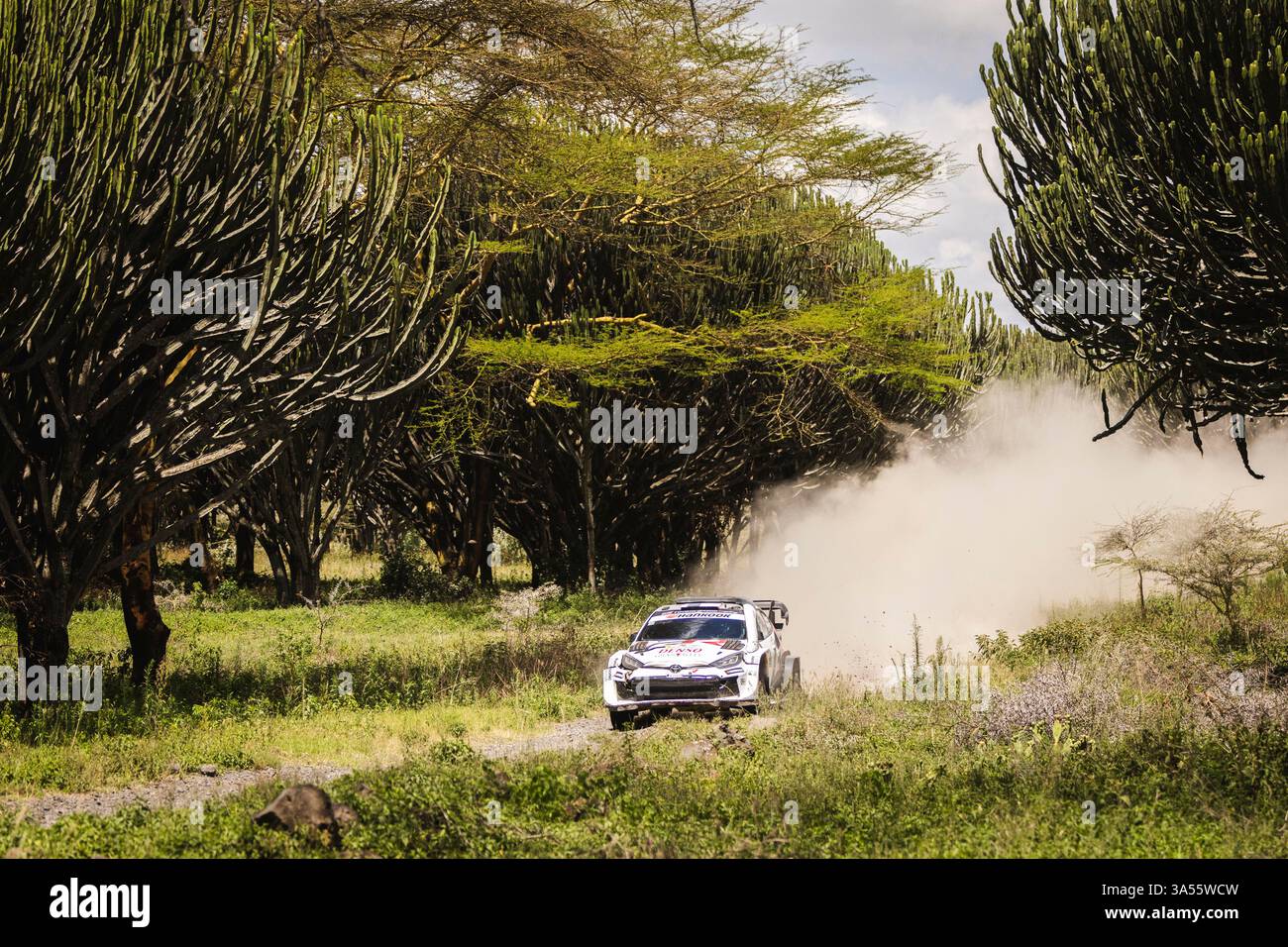 05 Sami PAJARI, Marko SALMINEN, Toyota GR Yaris Rally1, action during ...