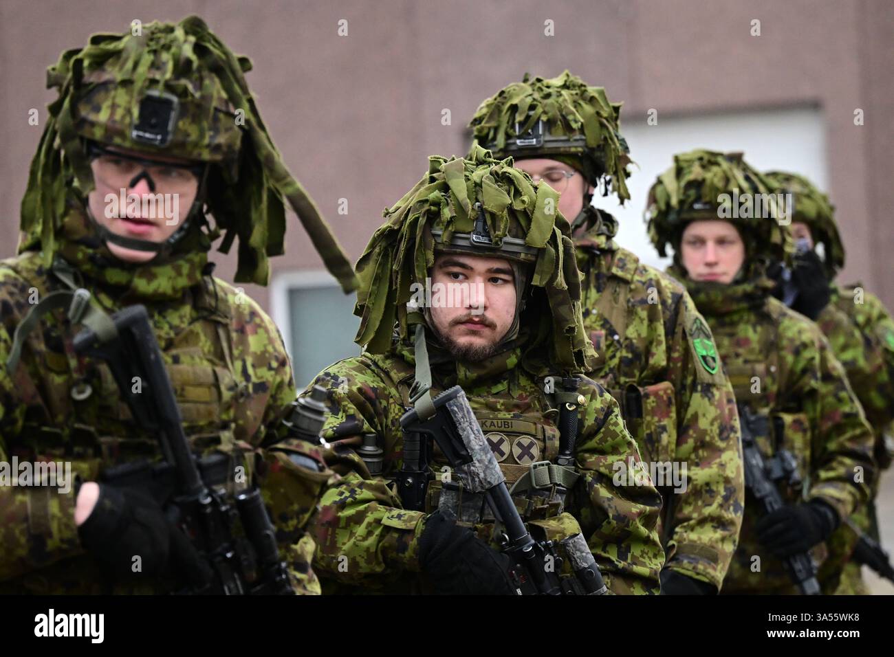 Estonian troops waiting for the arrival of the Prince of Wales at Tapa ...